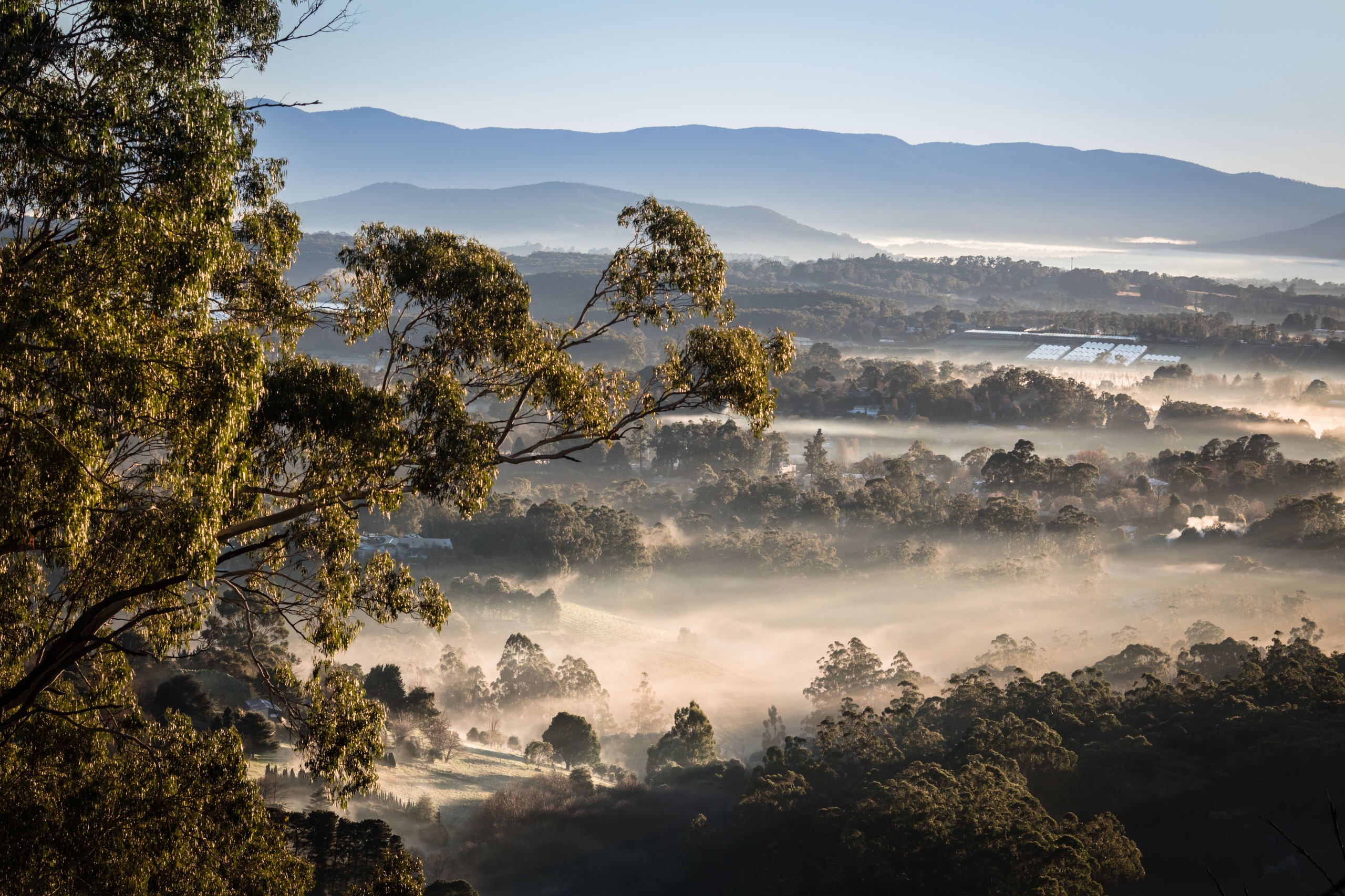 Economic Development Strategy | Shaping Yarra Ranges