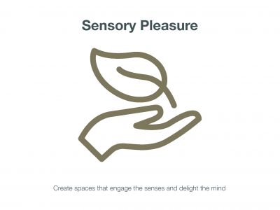 Warburton Urban Design Framework | Shaping Yarra Ranges